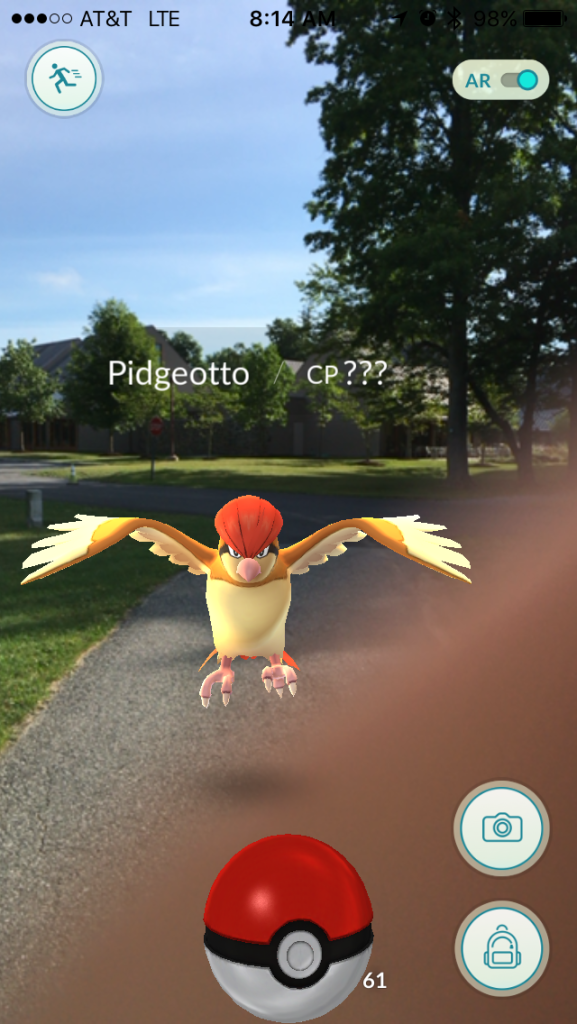 pokemon_go_pidgeotto – NARAtions