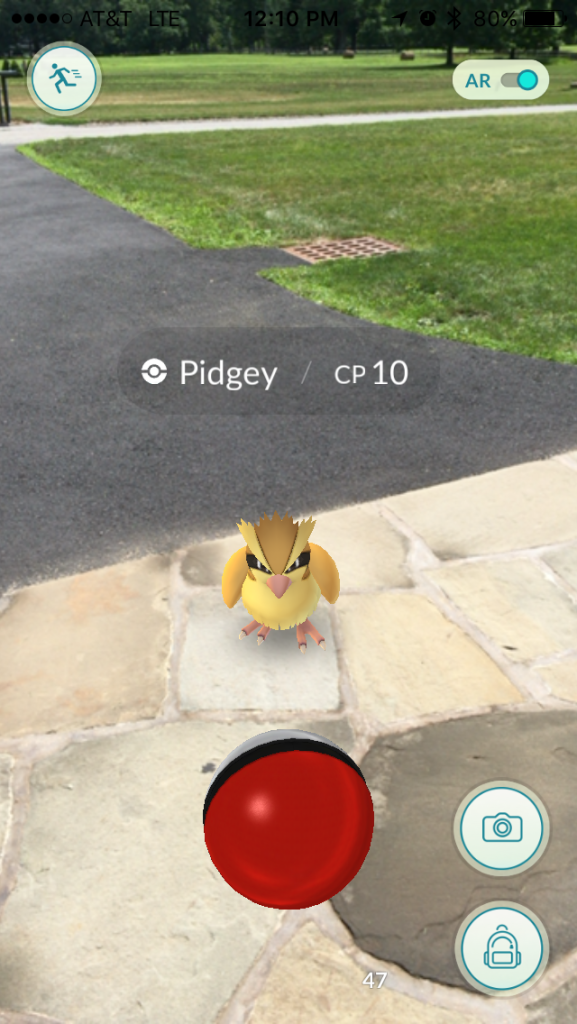 pokemon_go_pidgey – NARAtions